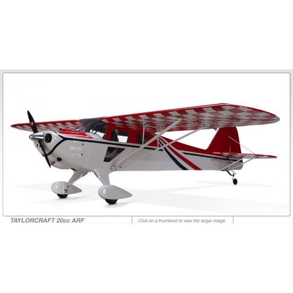 Taylorcraft 26cc BNF Hangar 9 - Jeux et jouets Hangar9 - Miniplanes